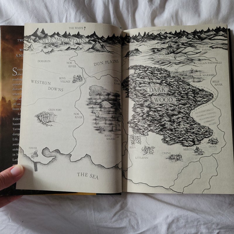 Lark Rising by Sandra Waugh