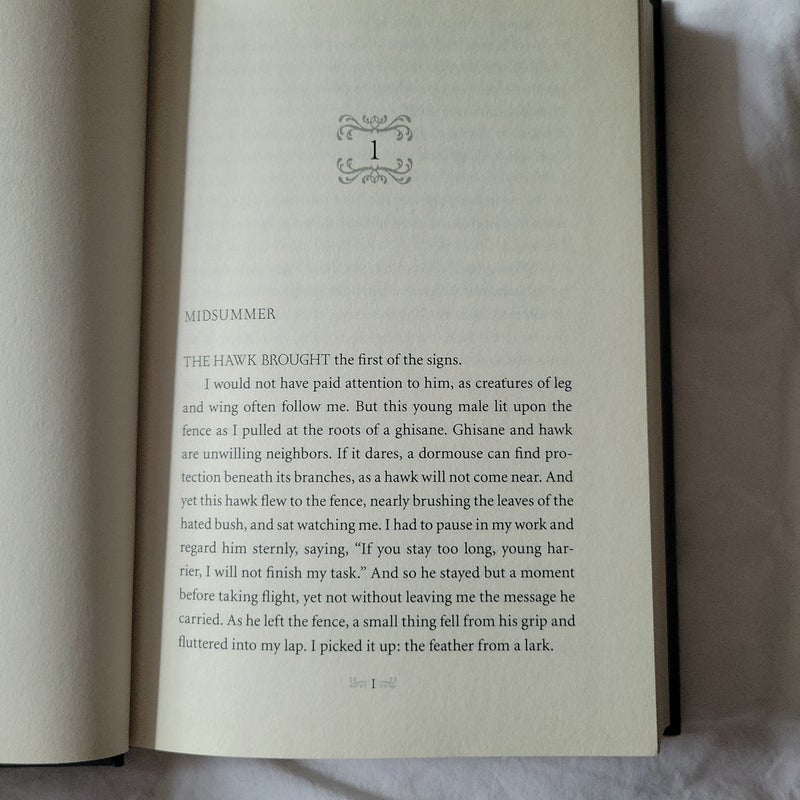 Lark Rising by Sandra Waugh