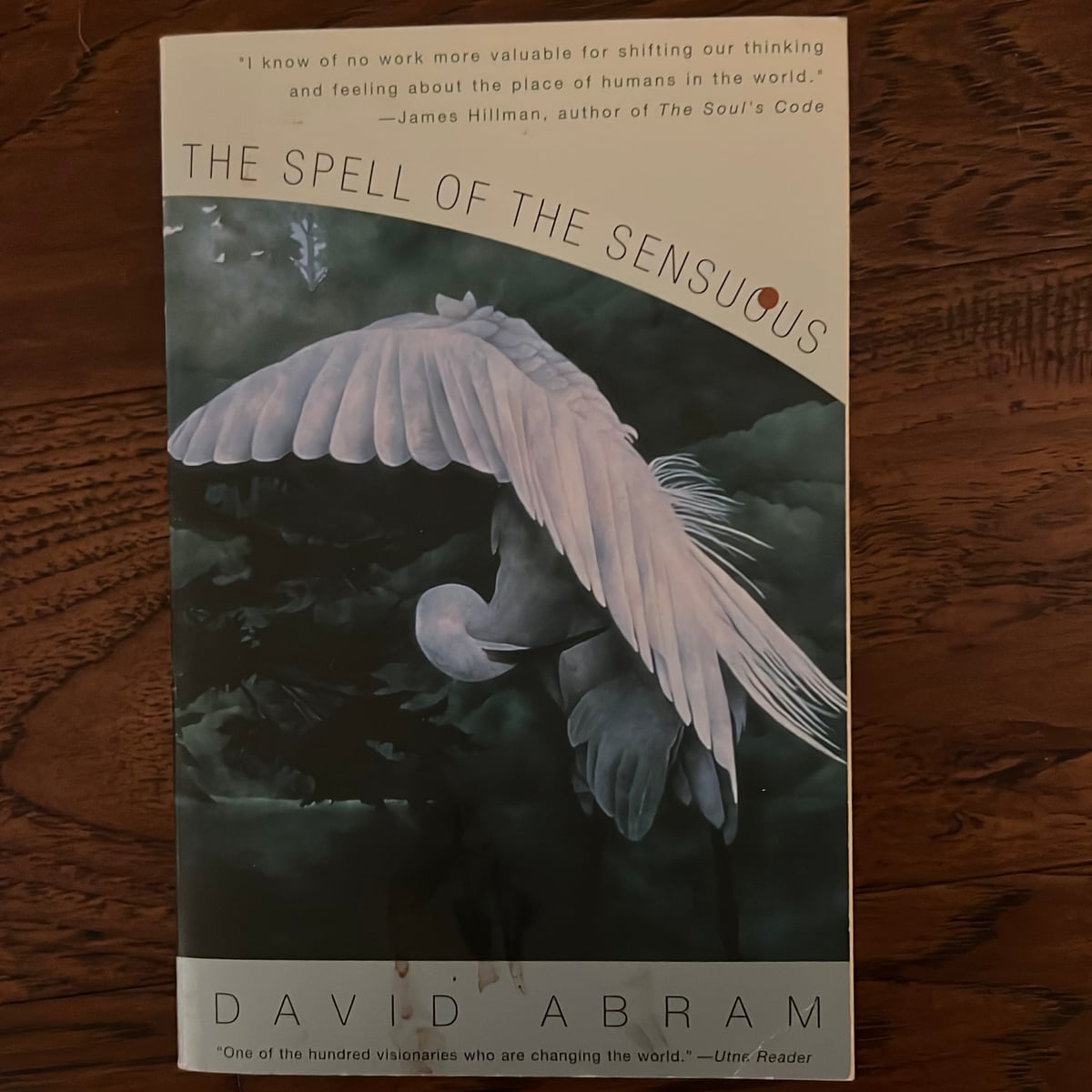 The Spell of the Sensuous by David Abram