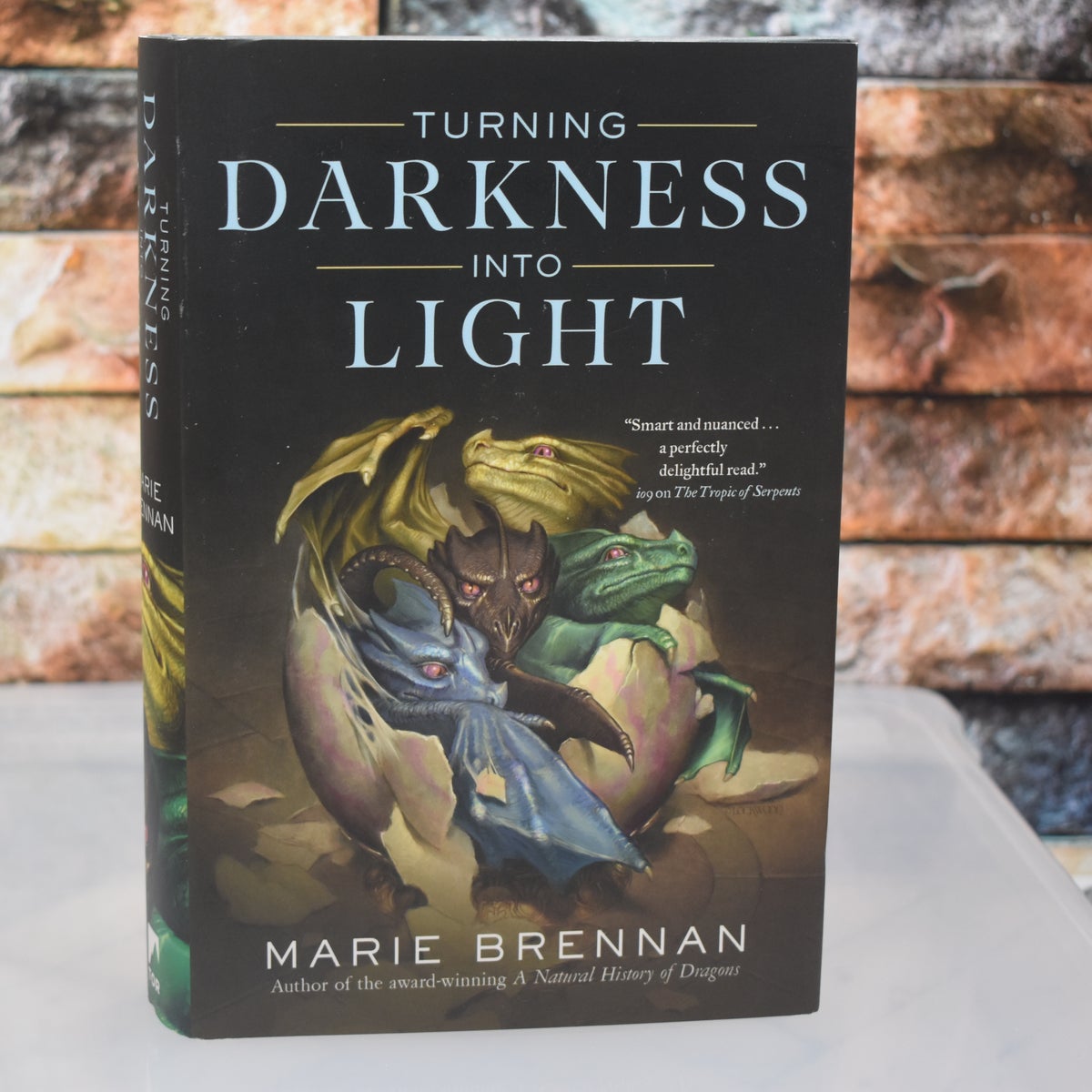 Turning Darkness into Light by Marie Brennan
