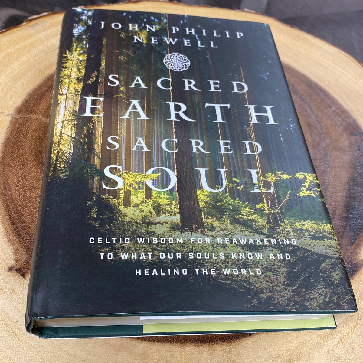 Sacred Earth, Sacred Soul by John Philip Newell