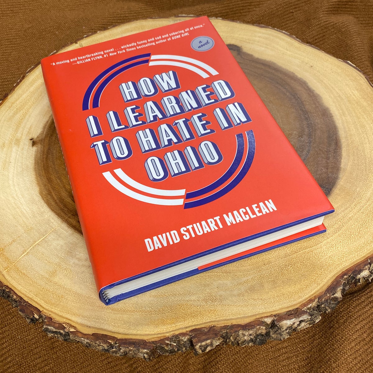 How I Learned to Hate in Ohio by David Stuart MacLean | Pangobooks