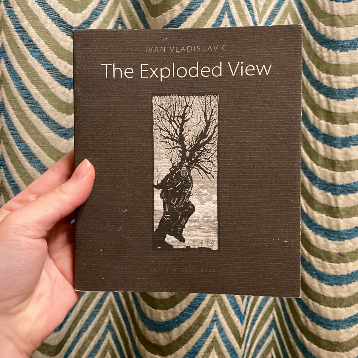 The Exploded View by Ivan Vladislavic