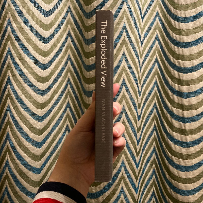 The Exploded View by Ivan Vladislavic