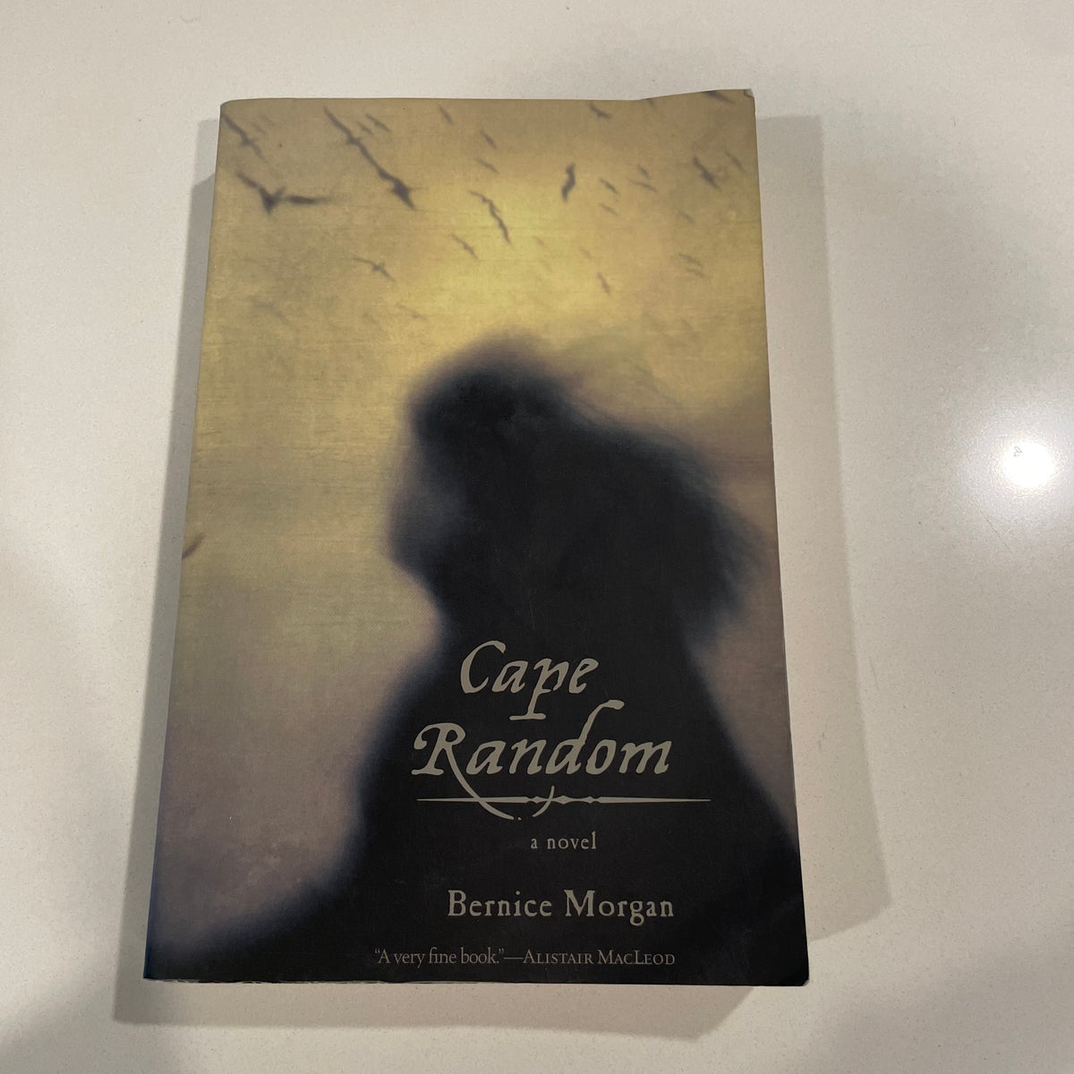 Cape Random by Bernice Morgan, Paperback | Pangobooks