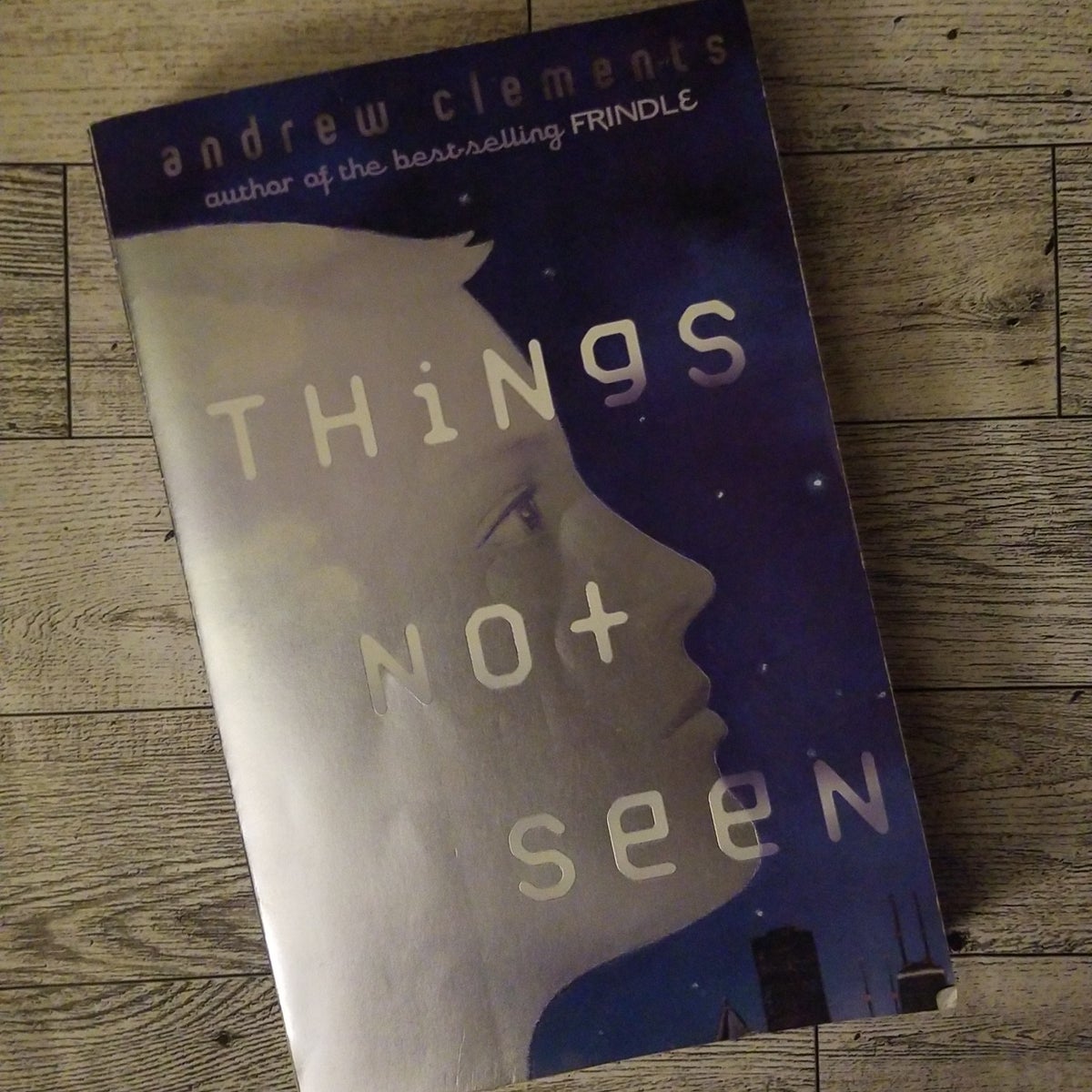 Things Not Seen by Andrew Clements, Paperback | Pangobooks