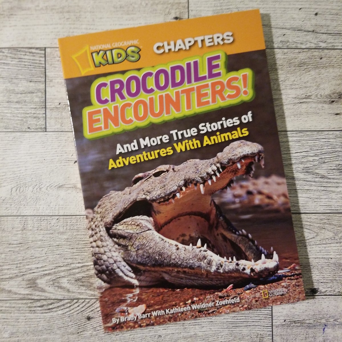 National Geographic Kids Chapters: Crocodile Encounters by Brady Barr ...