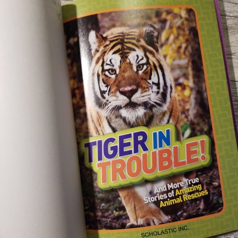 National Geographic Kids Chapters: Tiger in Trouble! by Kelly Milner ...