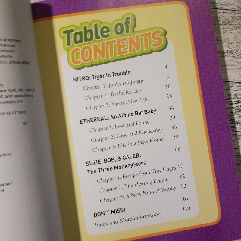 National Geographic Kids Chapters: Tiger in Trouble! by Kelly Milner ...