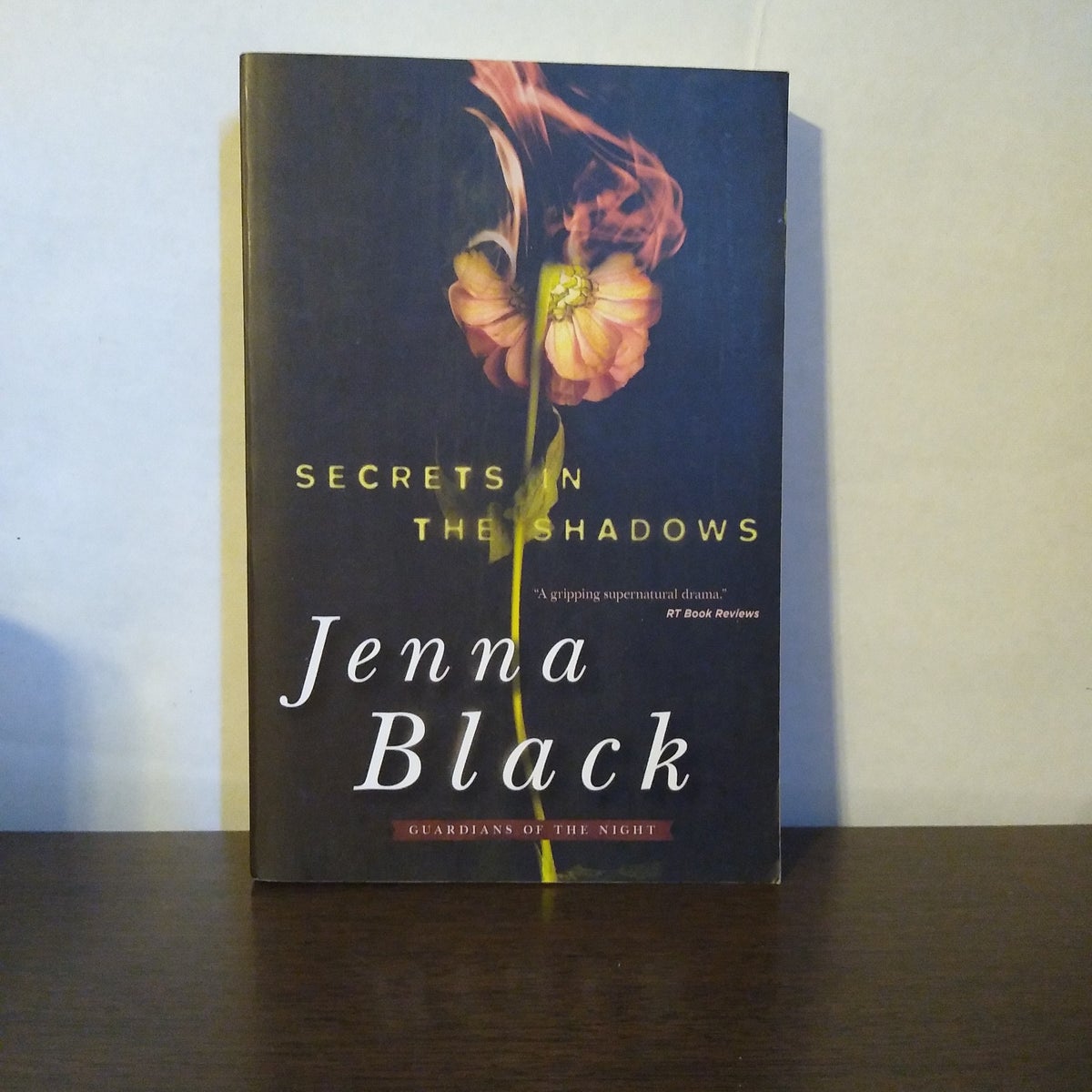 Secrets in the Shadows: Guardians of the Night 2 by Jenna Black