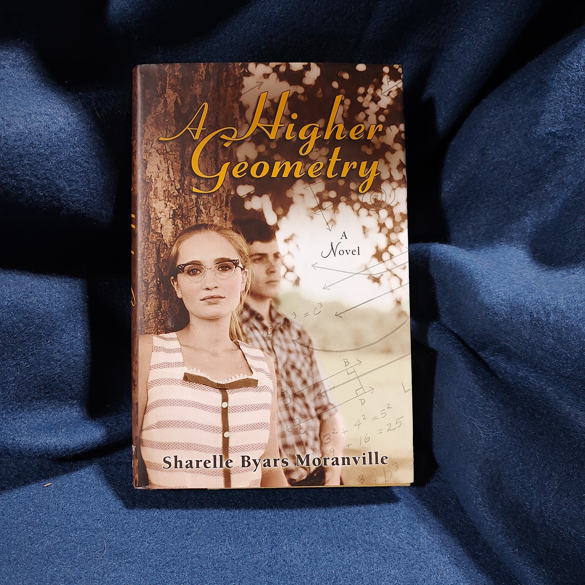 A Higher Geometry by Sharelle Byars Moranville