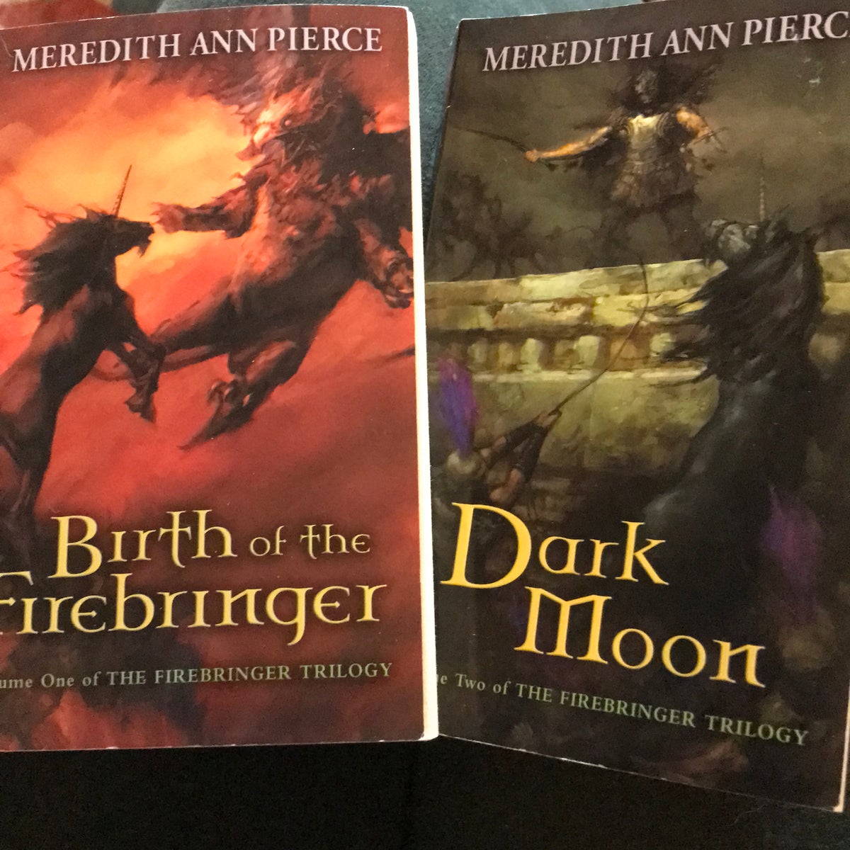 Dark Moon by Meredith Ann Pierce