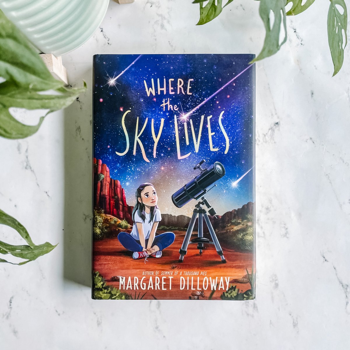 Where the Sky Lives by Margaret Dilloway