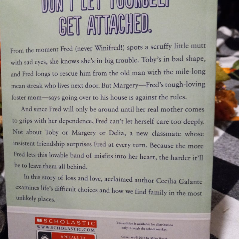 Strays Like Us by Cecilia Galante, Paperback | Pangobooks