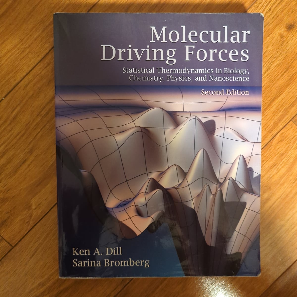 Molecular Driving Forces by Ken Dill, Sarina Bromberg