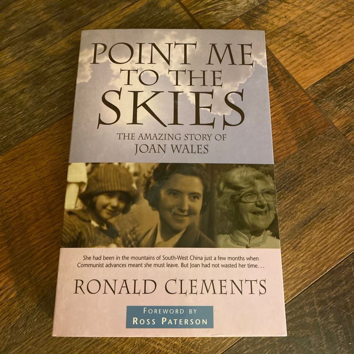 Point Me to the Skies by Ronald Clements