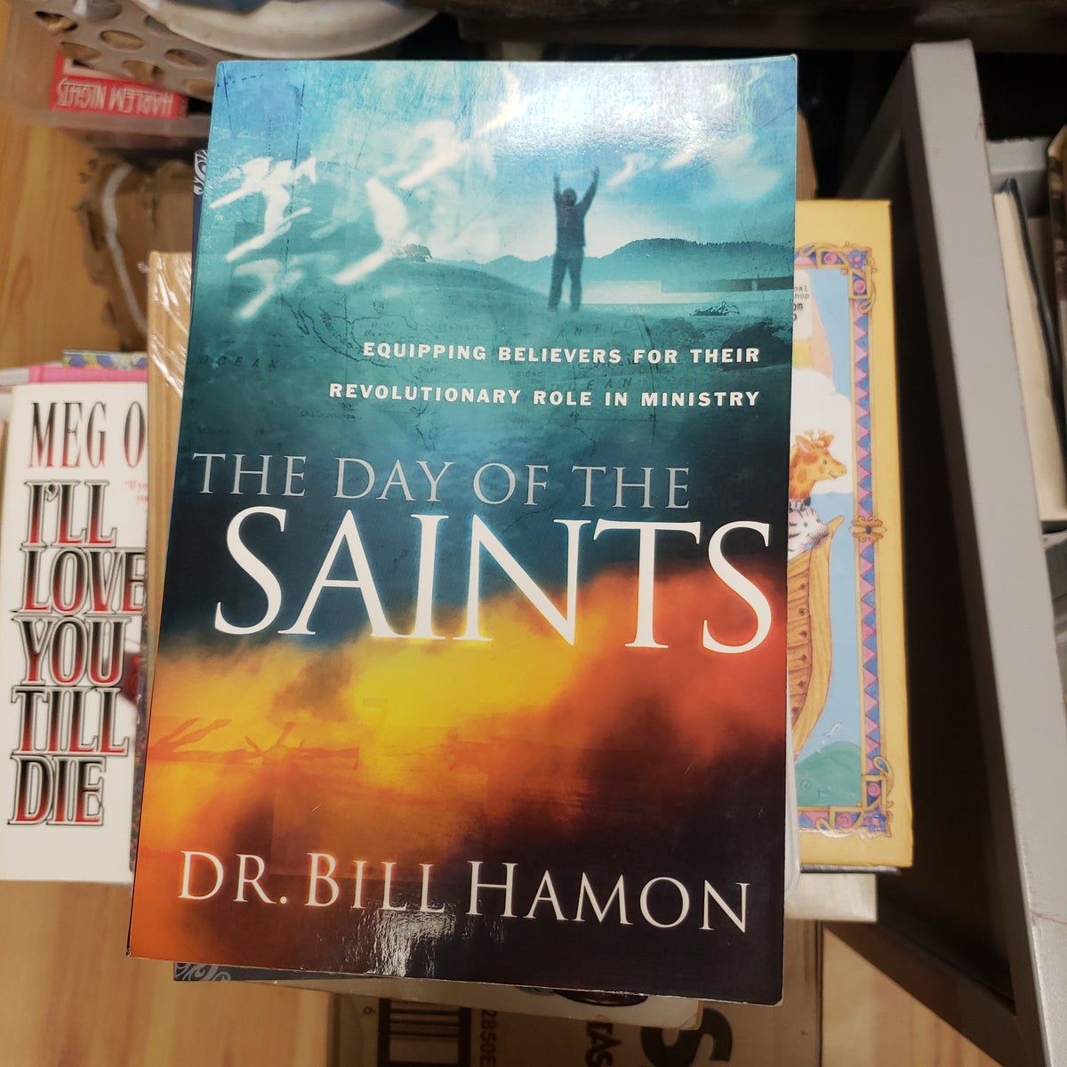The Day of the Saints by Bill Hamon, Paperback | Pangobooks