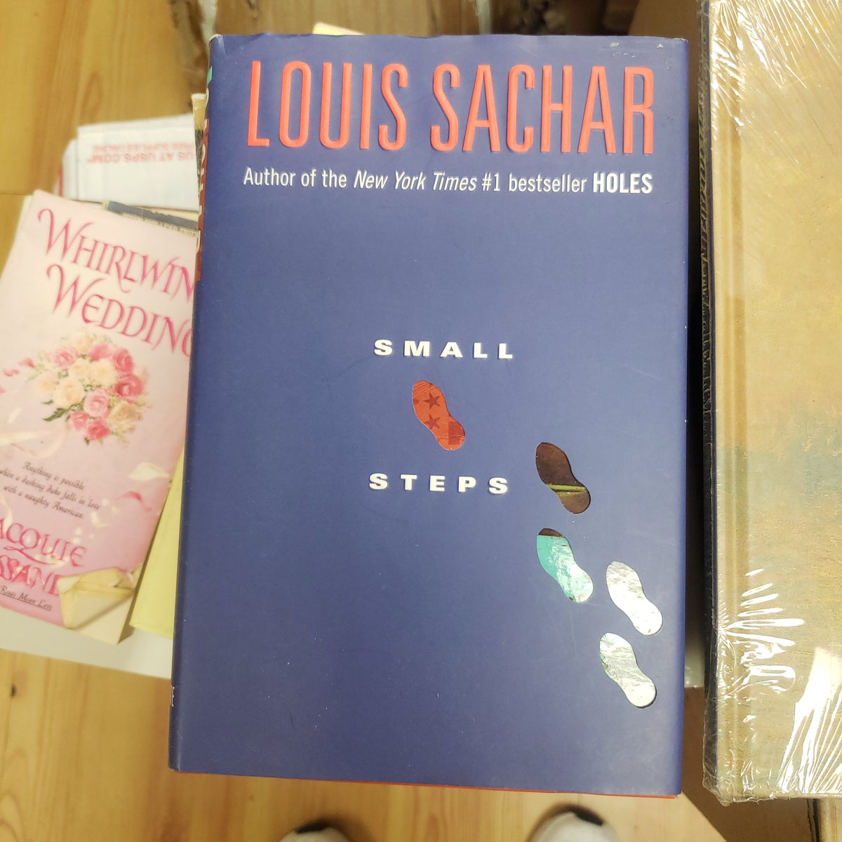 Small Steps by Louis Sachar
