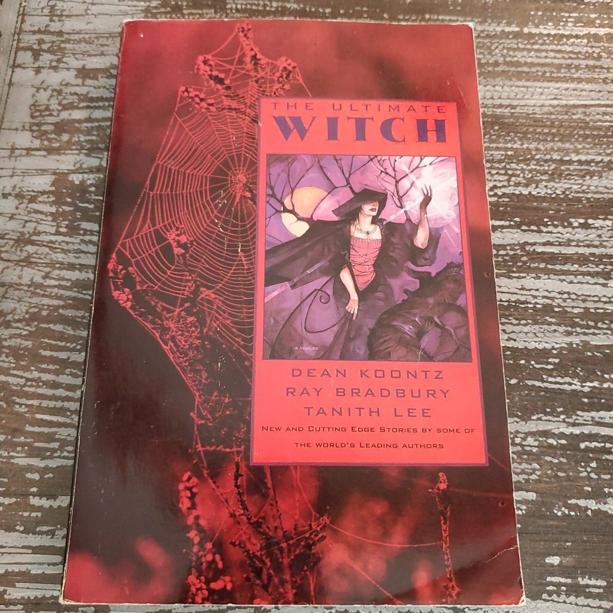 The Ultimate Witch by Byron Preiss