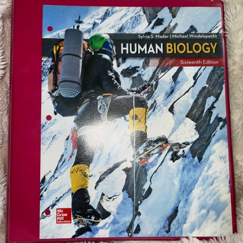 Loose Leaf for Human Biology by Sylvia S. Mader, Michael Windelspecht