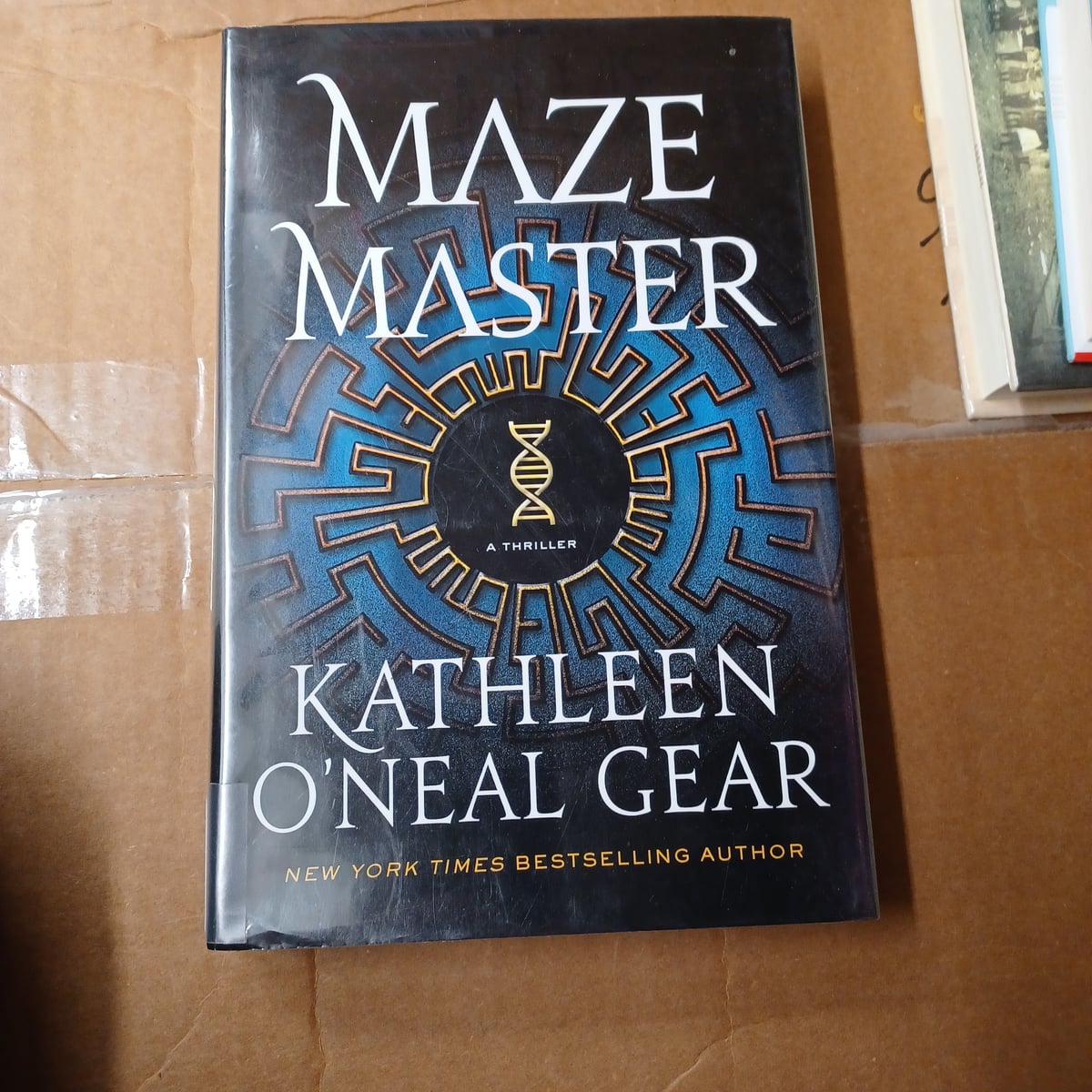 Maze Master by Kathleen O'Neal Gear