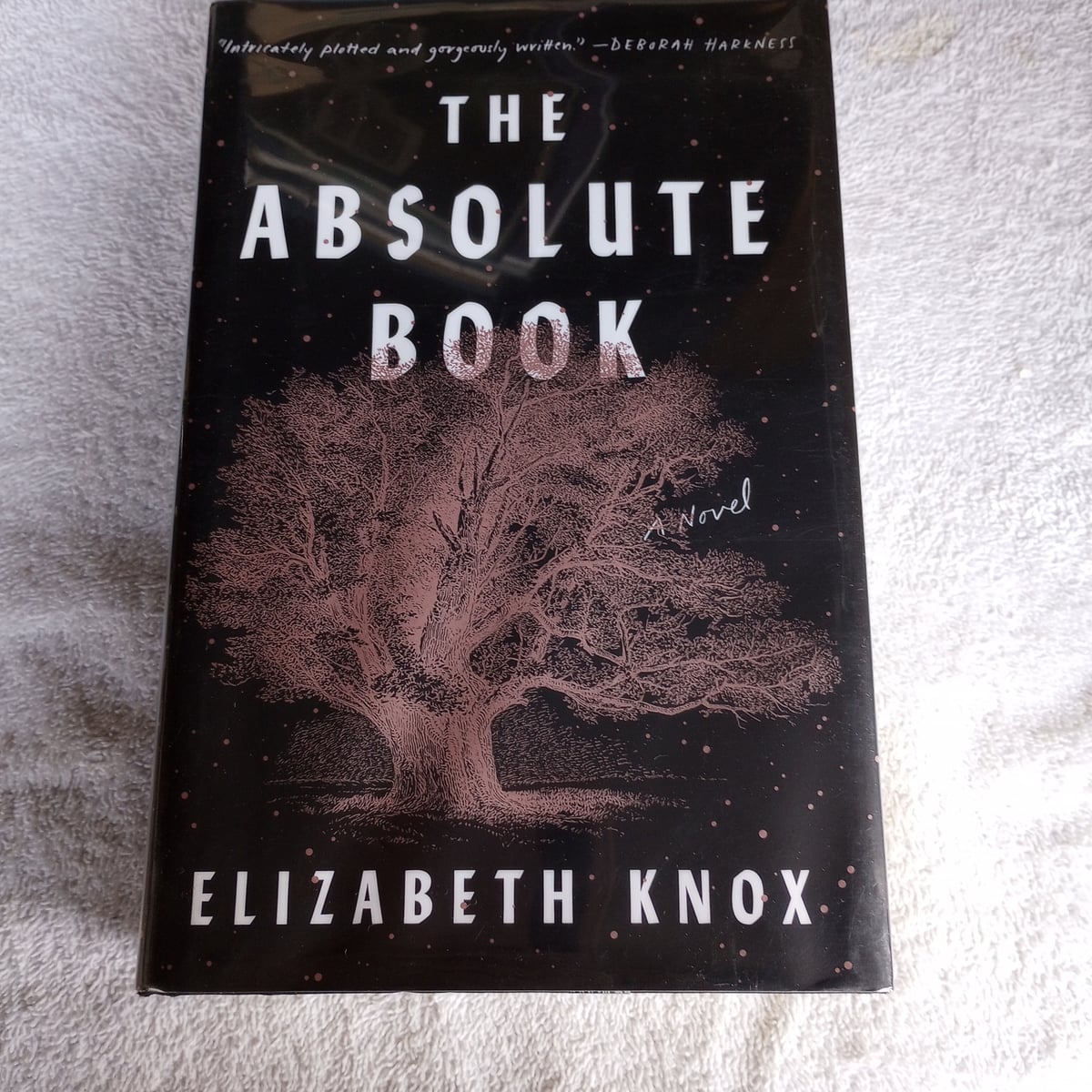 The Absolute Book by Elizabeth Knox