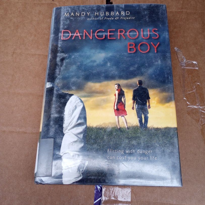 Dangerous Boy by Mandy Hubbard