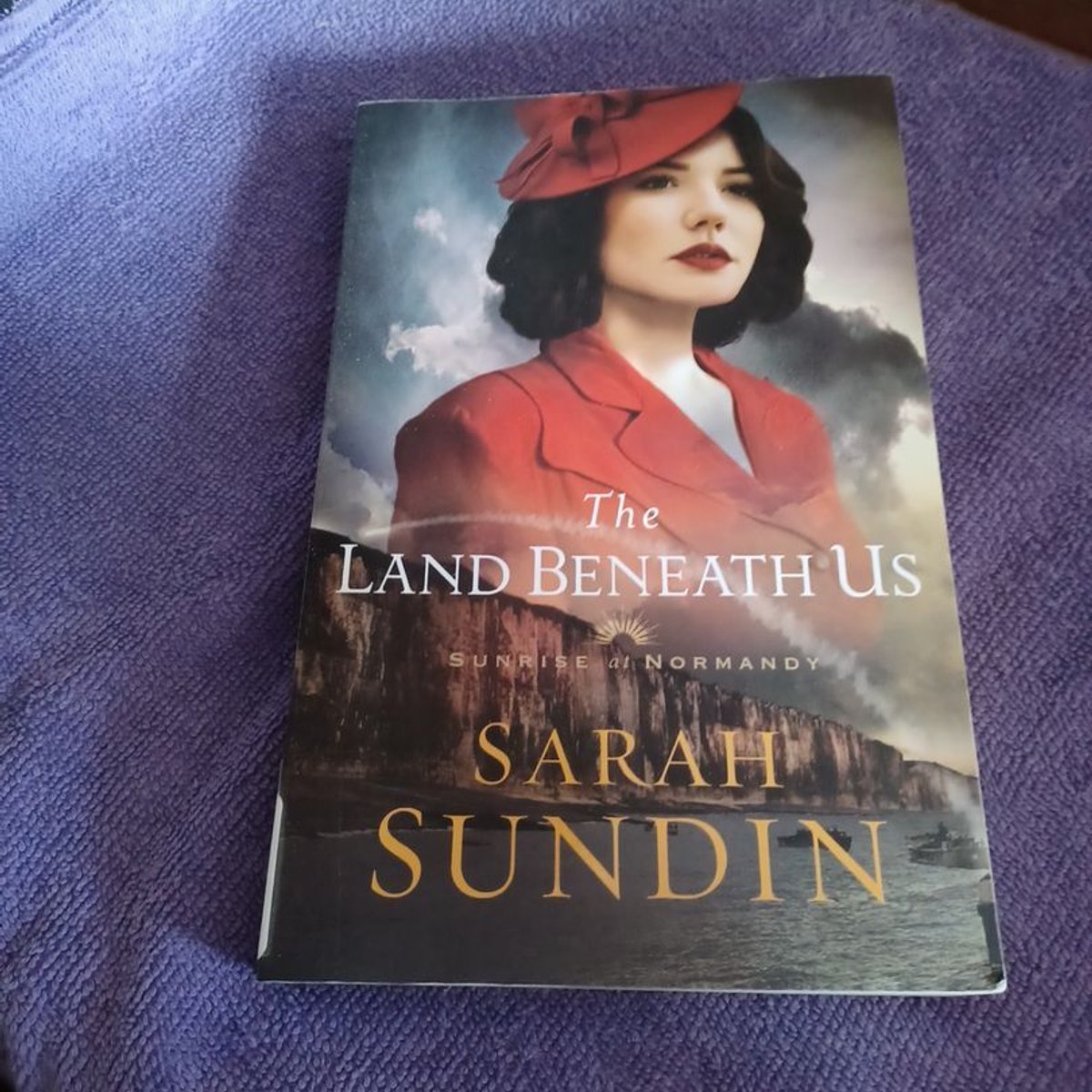 The Land Beneath Us by Sarah Sundin