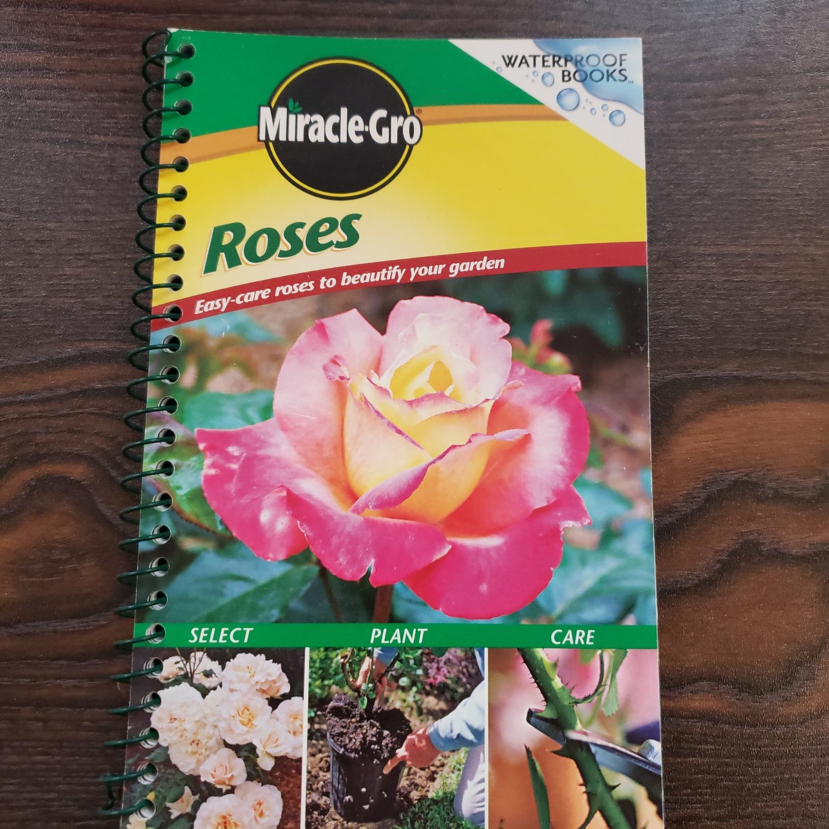 Miracle Gro Roses by Megan McConnell Hughes