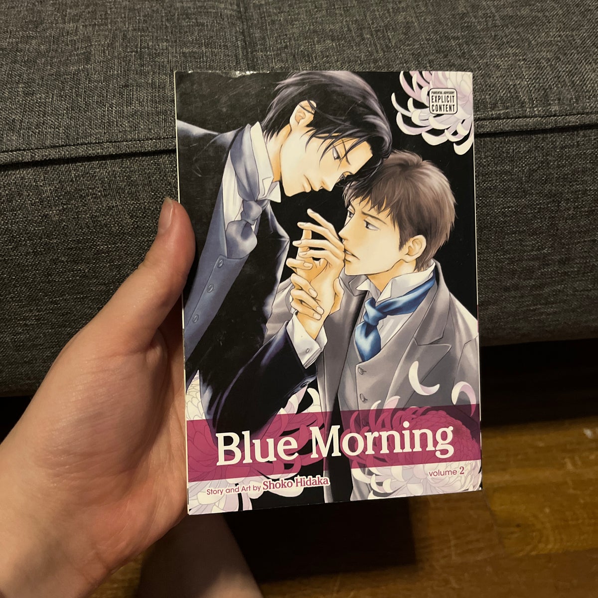 Blue Morning, Vol. 2 by Shoko Hidaka