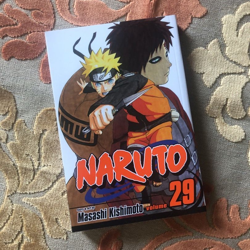 Naruto, Vol. 29 by Masashi Kishimoto