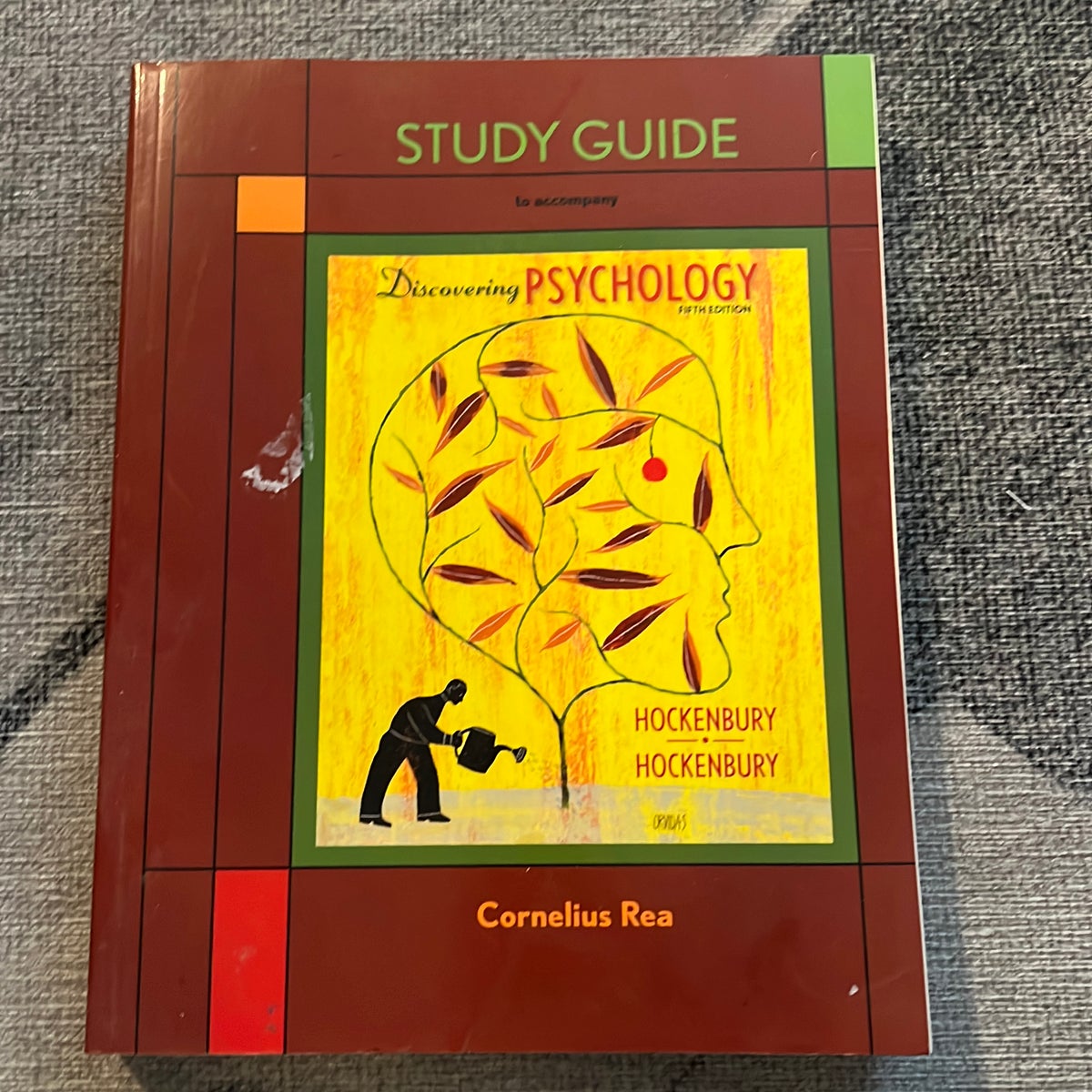 Discovering Psychology