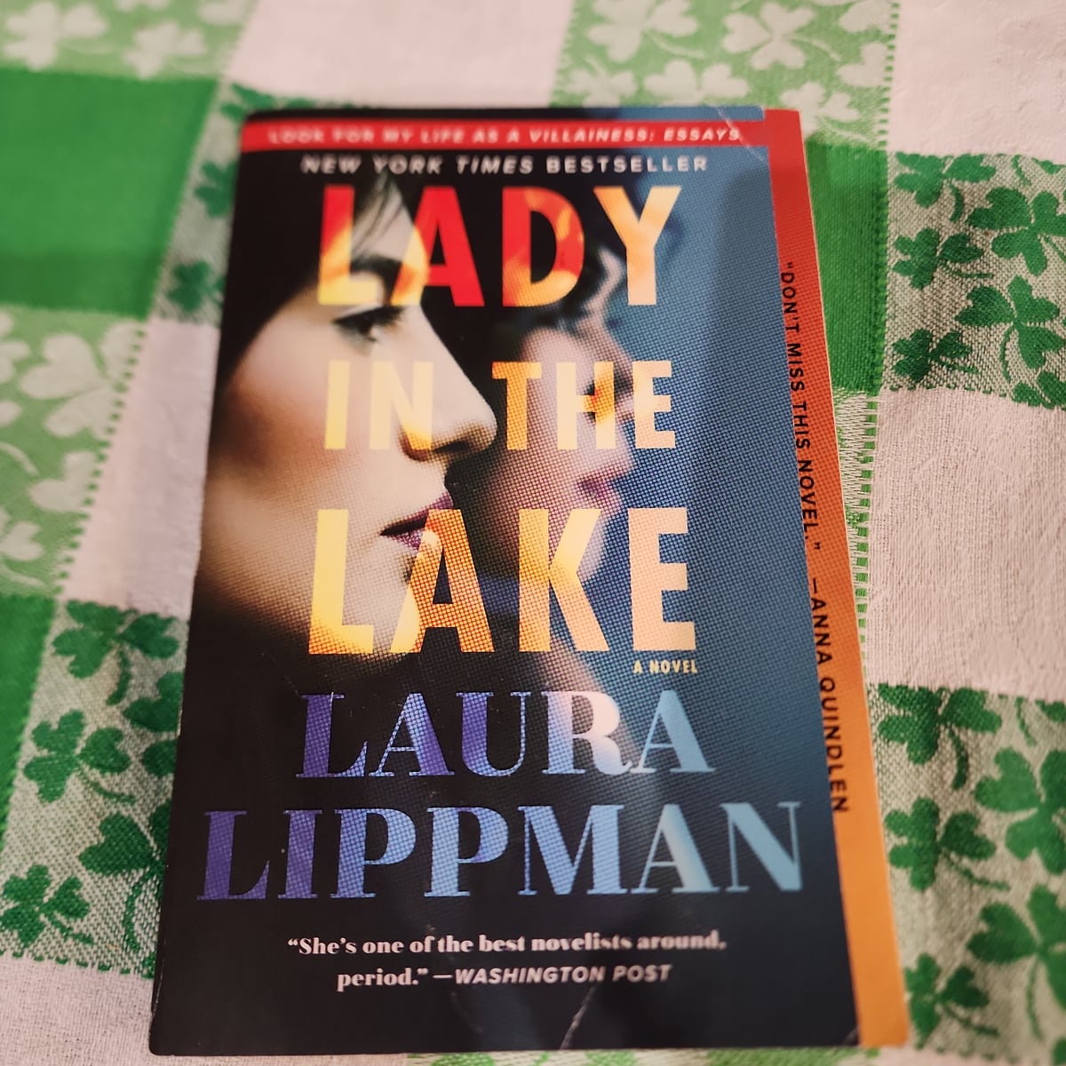 Lady in the Lake by Laura Lippman