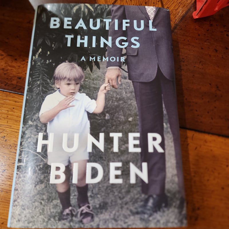 Beautiful Things by Hunter Biden