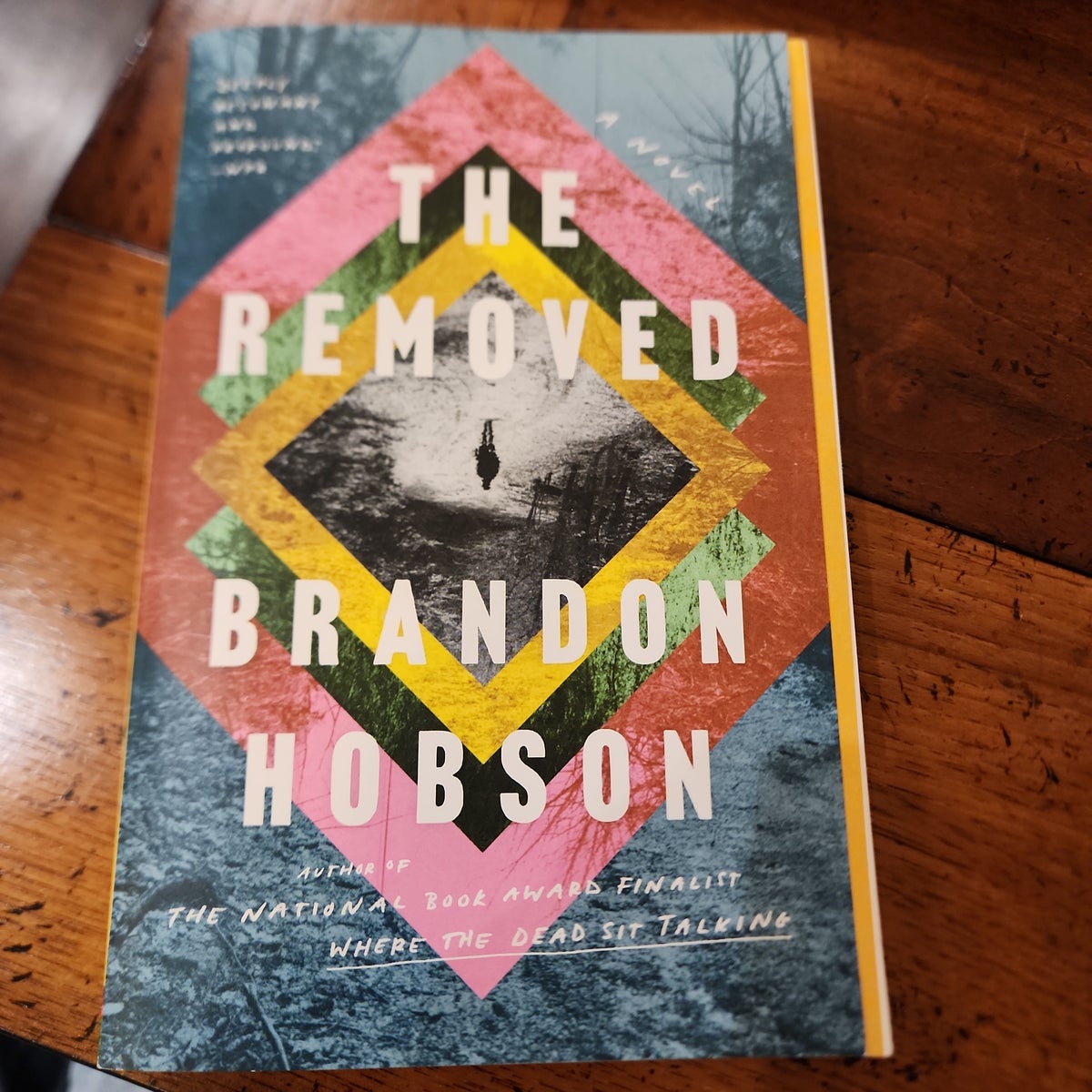 The Removed by Brandon Hobson