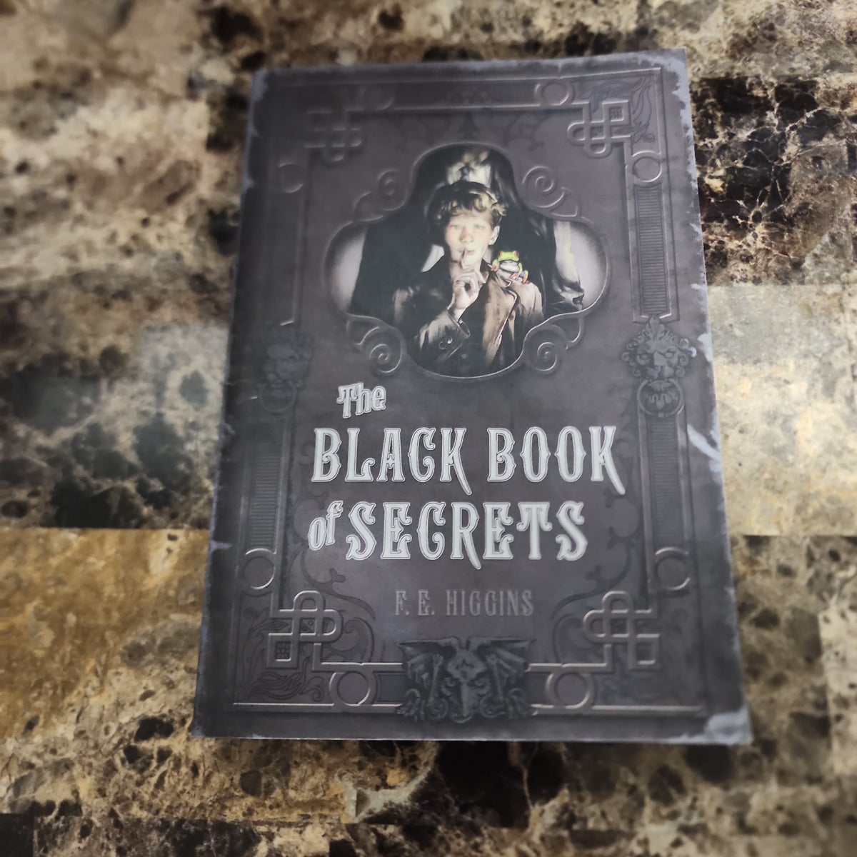 The Black Book of Secrets by F. E. Higgins
