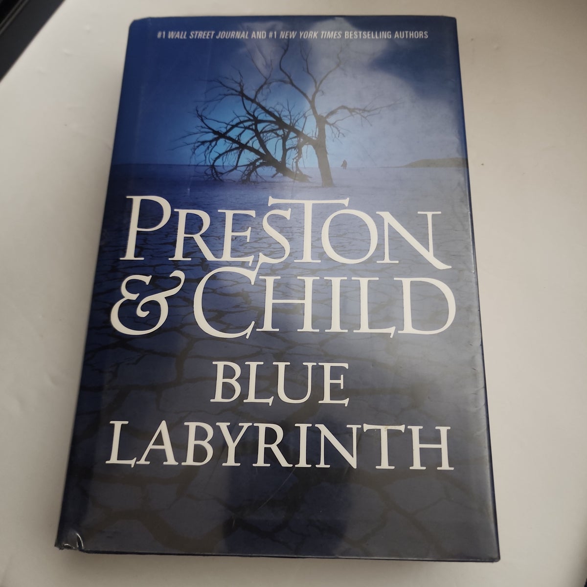 Blue Labyrinth by Douglas Preston, Lincoln Child