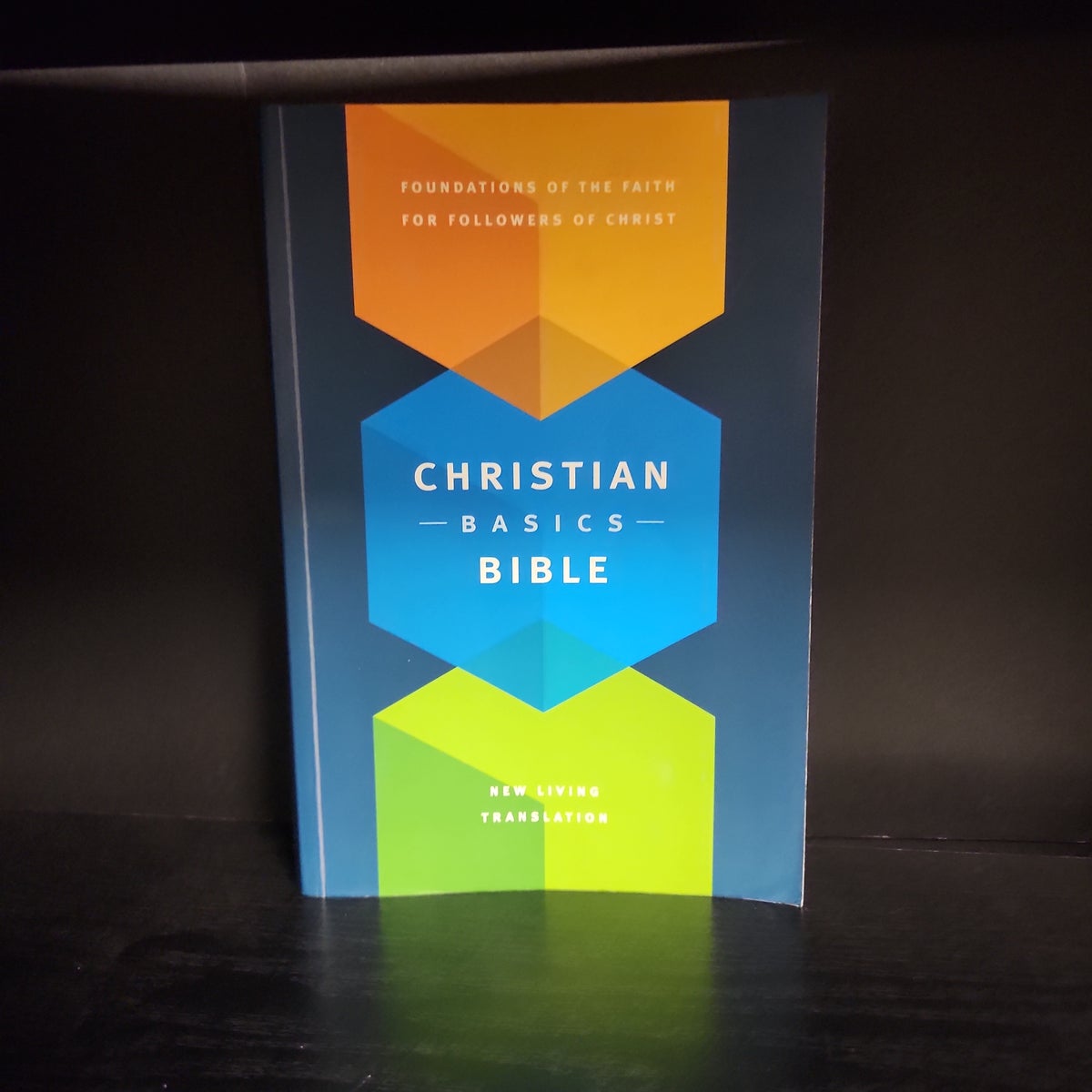 The Christian Basics Bible