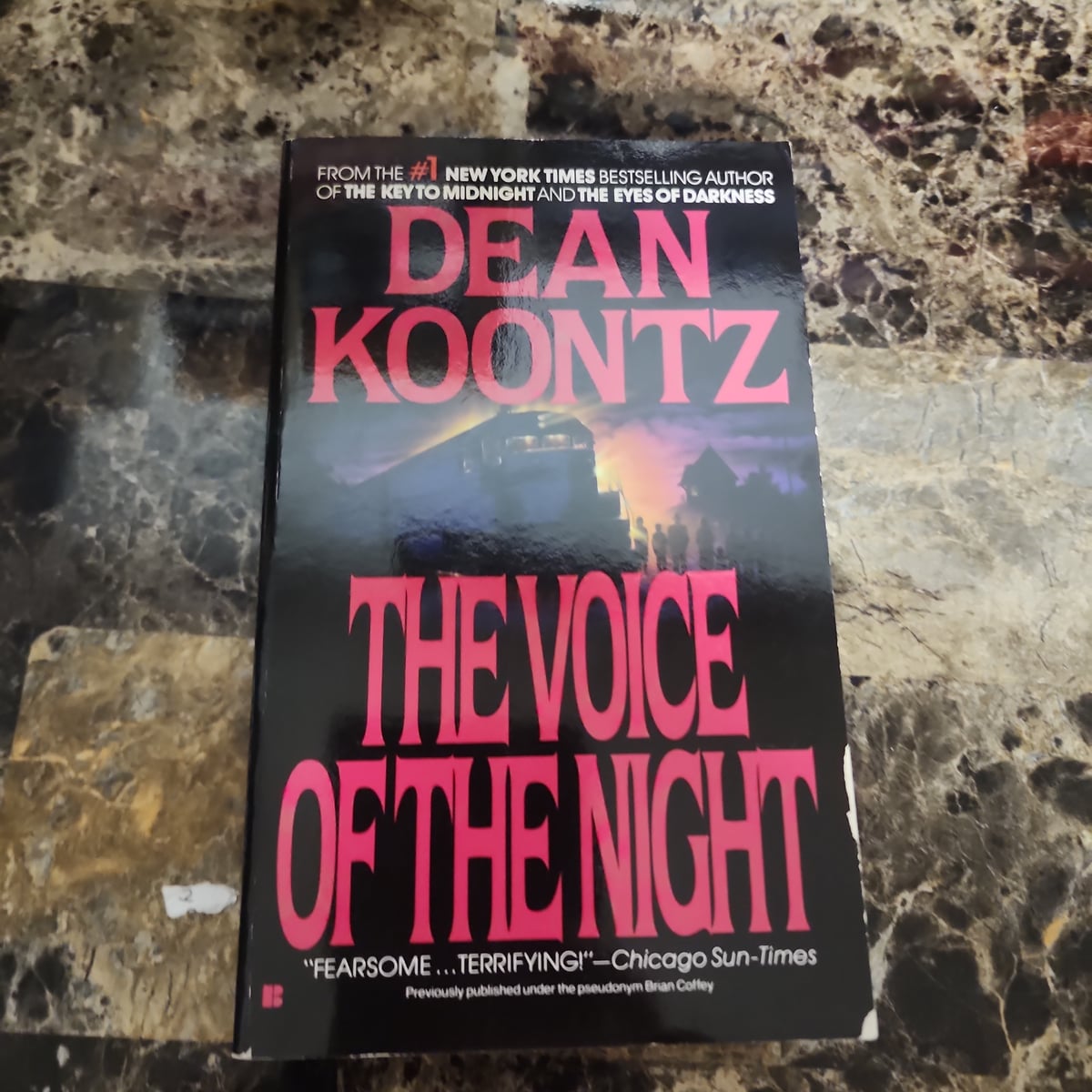 The Voice of the Night by Brian Coffey
