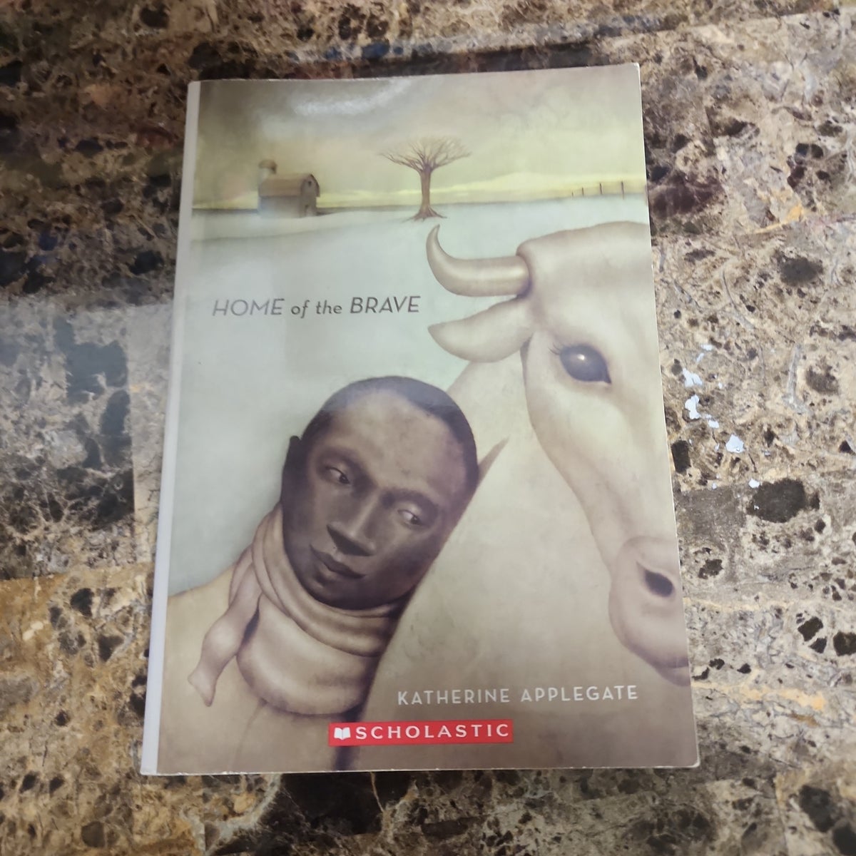 Home of the Brave by Katherine Applegate