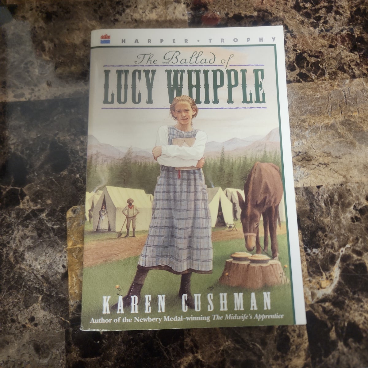 The Ballad of Lucy Whipple by Karen Cushman
