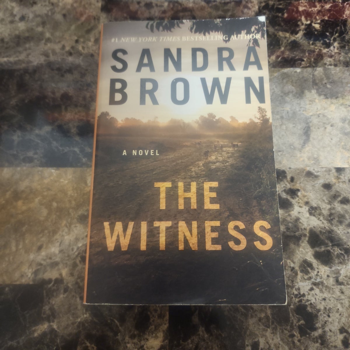 The Witness by Sandra Brown