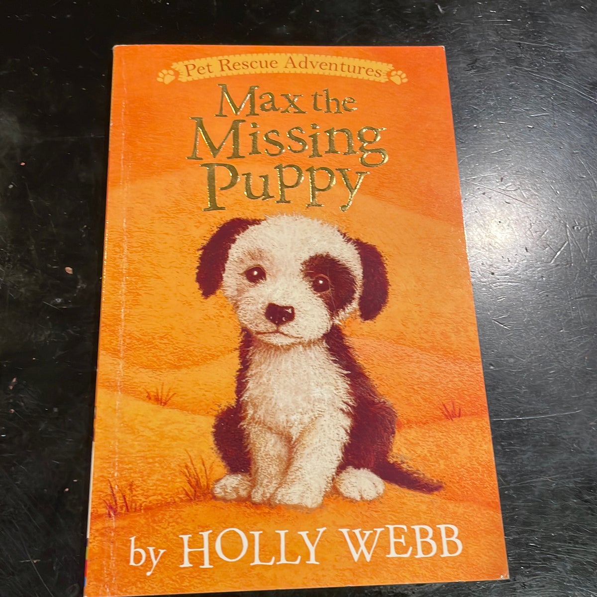 Max the Missing Puppy by Holly Webb