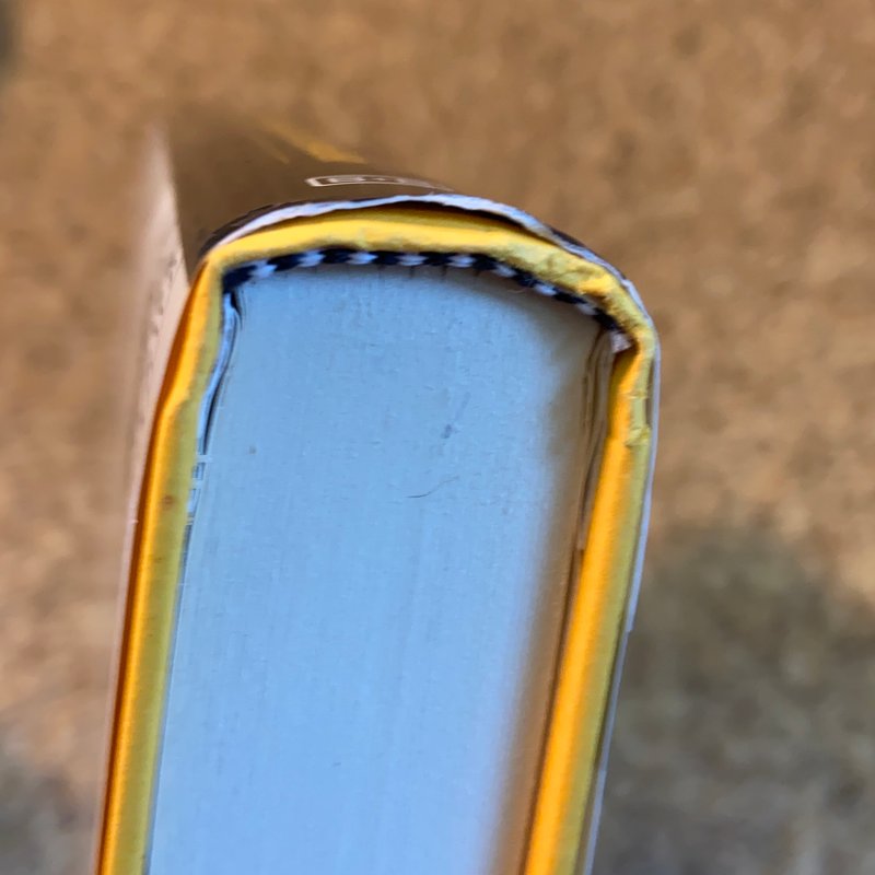 The Field Guide to the North American Teenager by Ben Philippe