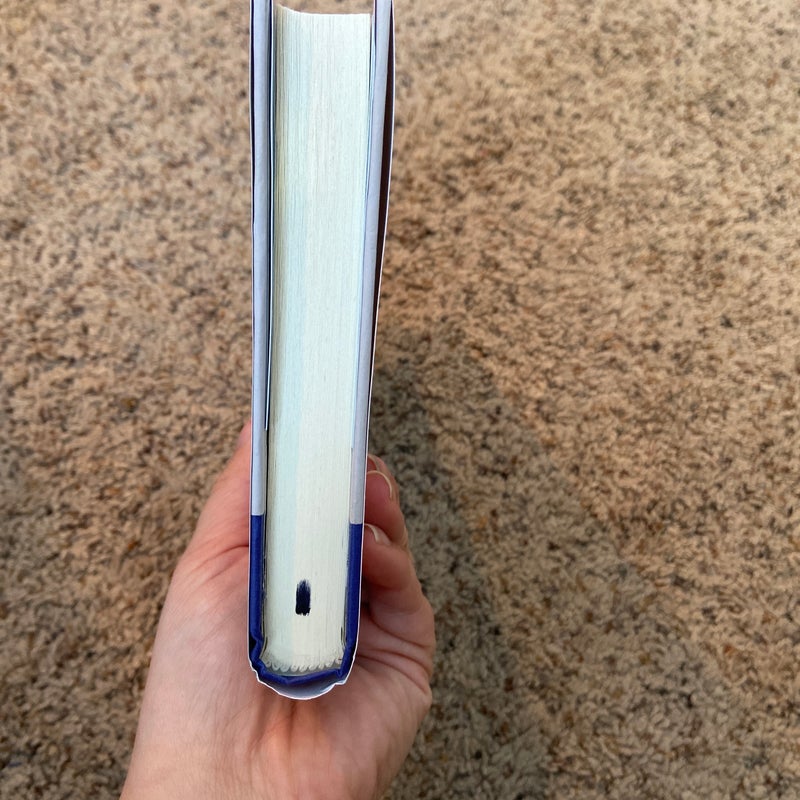 The Very, Very Far North by Dan Bar-el