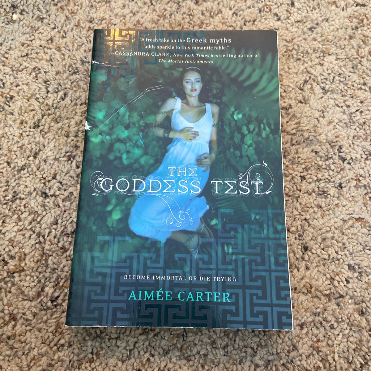 The Goddess Test by Aimée Carter, Aimée Carter