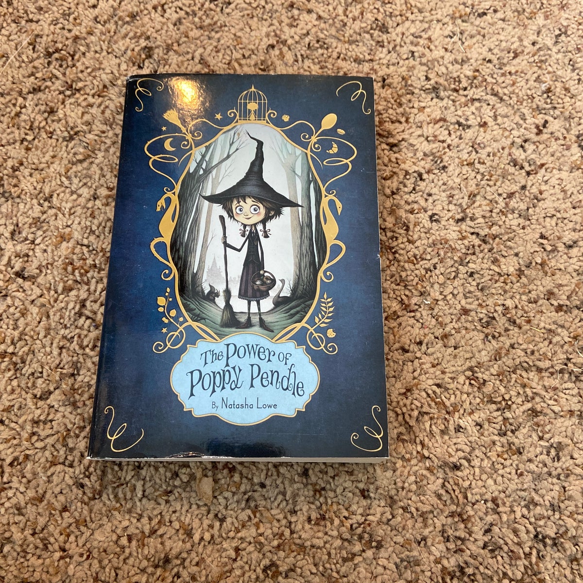 The Power of Poppy Pendle by Natasha Lowe