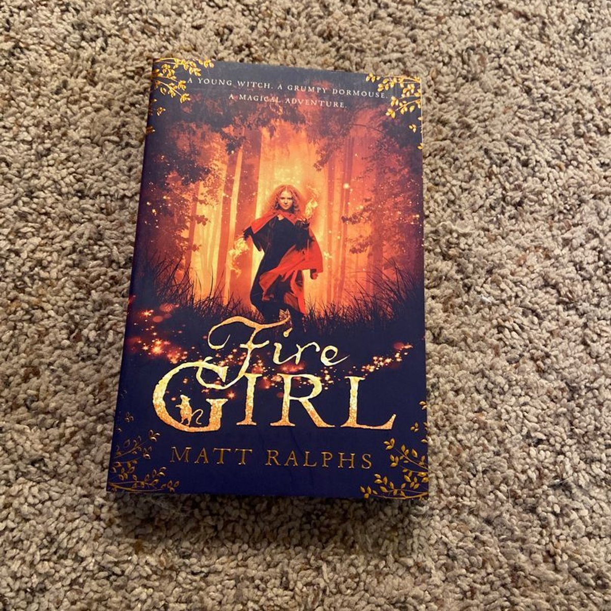 Fire Girl: Fire Girl Book 1 by Matt Ralphs