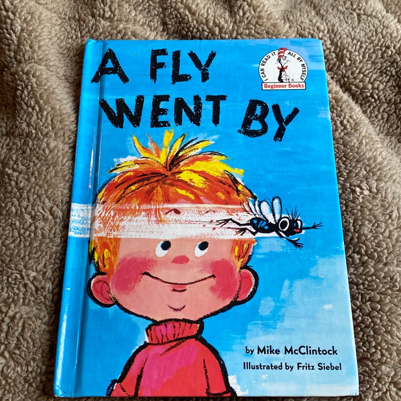 A Fly Went By by Mike McClintock, Hardcover | Pangobooks