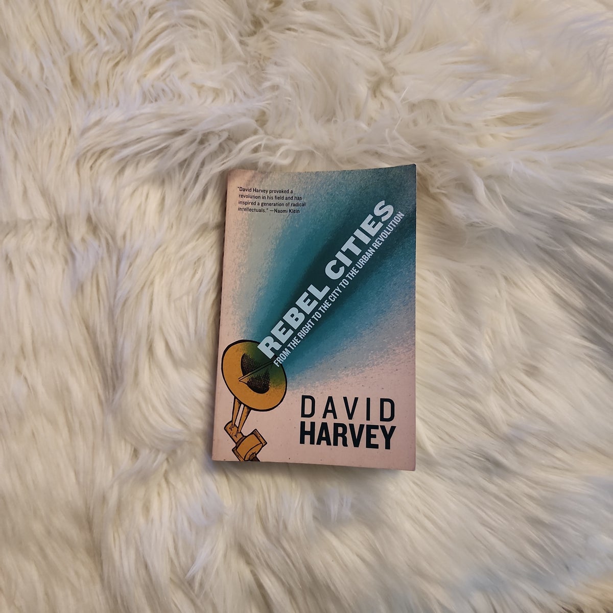 Rebel Cities by David Harvey